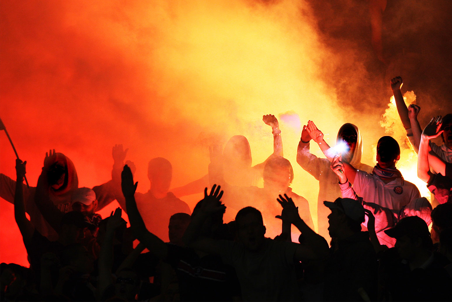 Short For 'Fanatic' - Tigeraire